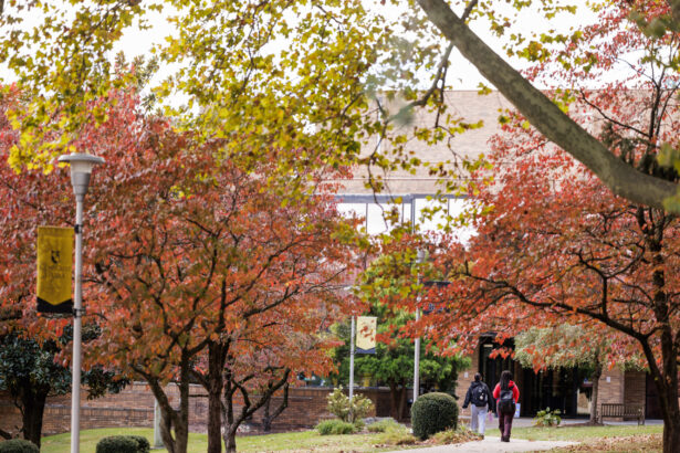 How To Apply - Undergrad Admissions | Cedar Crest College